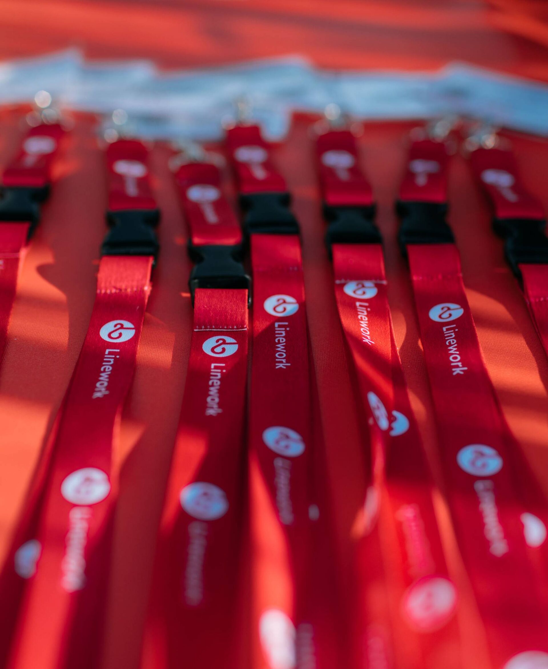 Brand Assets | Linework